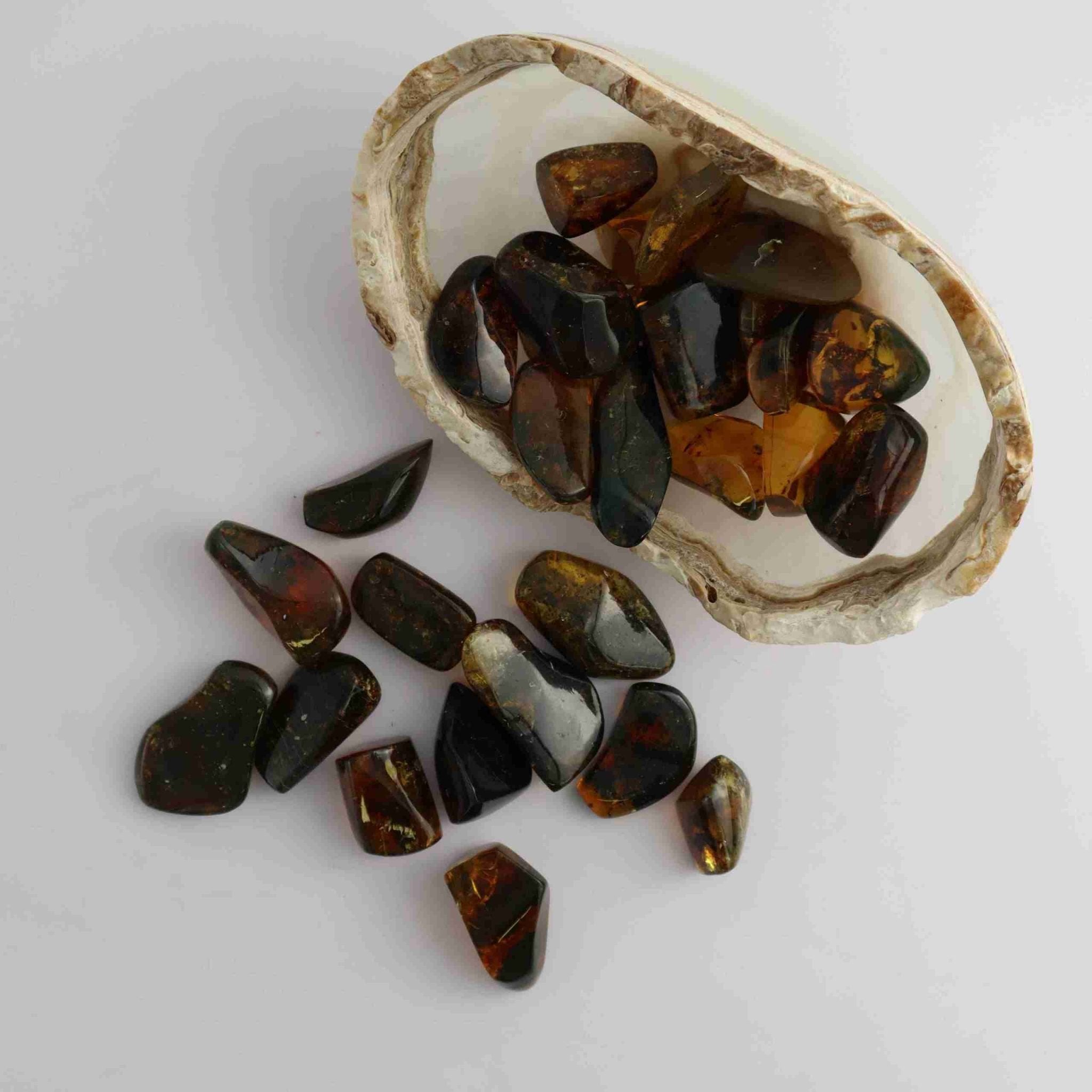 Chiapas Amber Tumble | Wholesale Crystals Vendor – Mi Esperanza Minerals