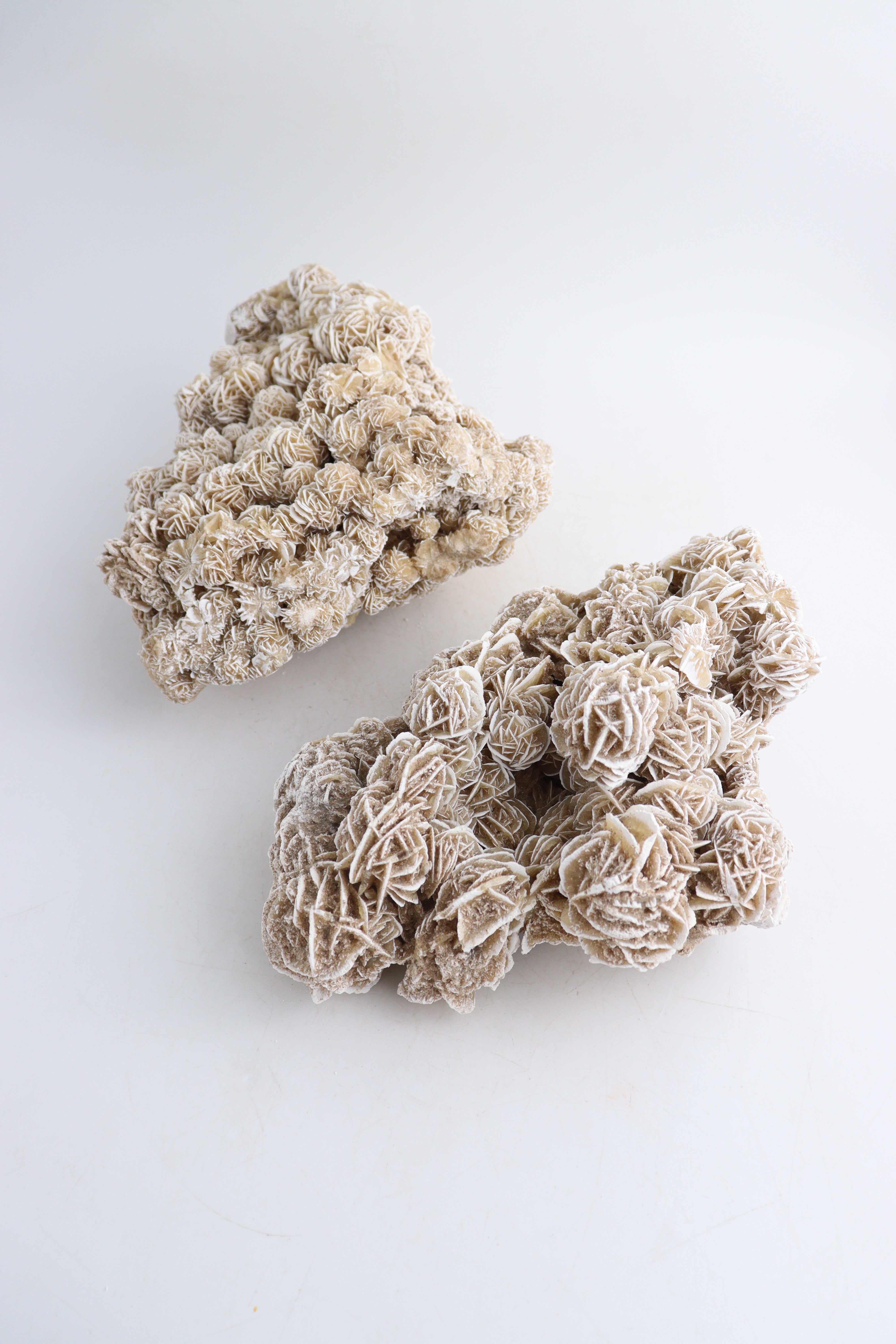 Desert Rose Clusters – Mi Esperanza Minerals