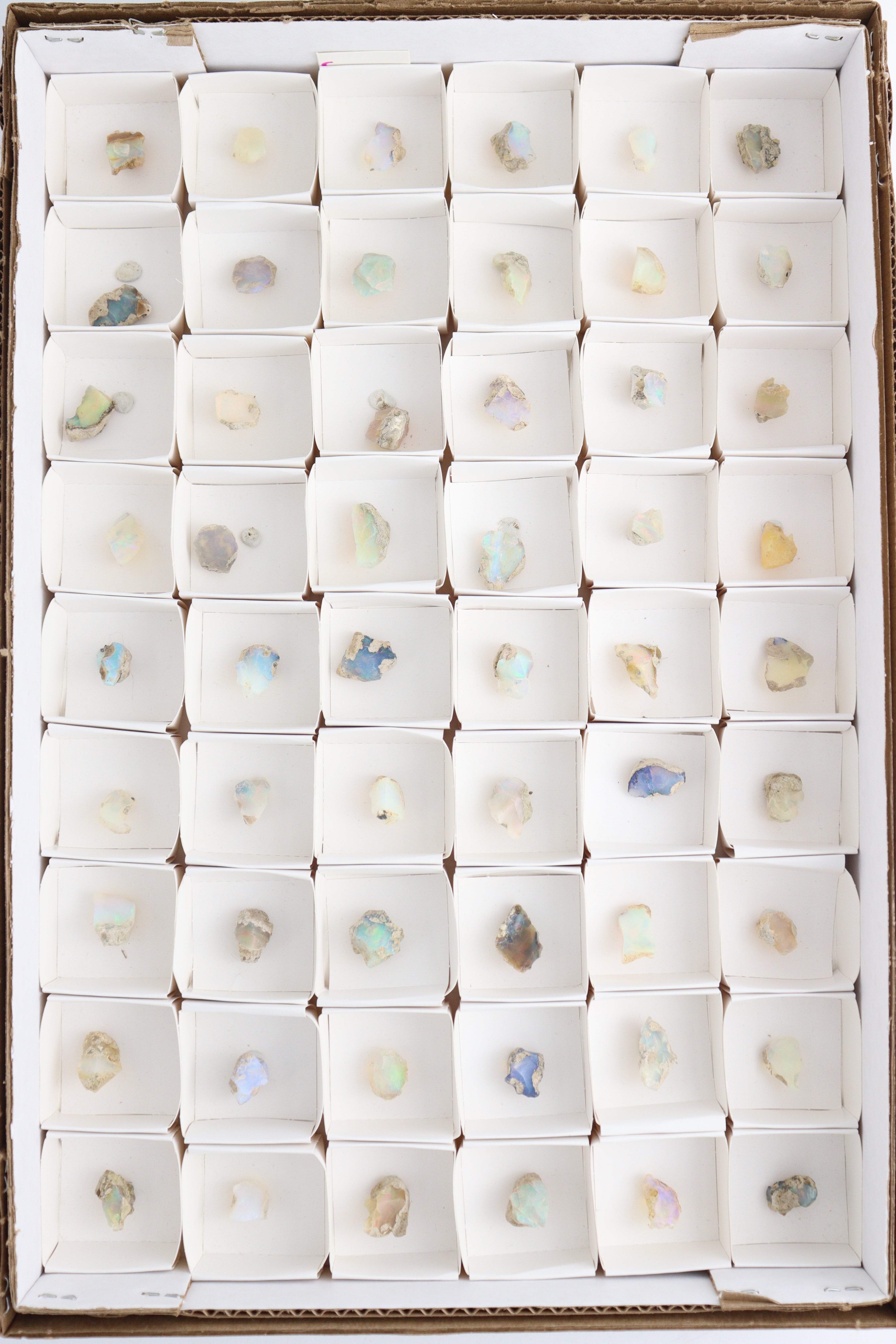 Ethiopian Opal Flat | Wholesale Crystals Vendor – Mi Esperanza Minerals