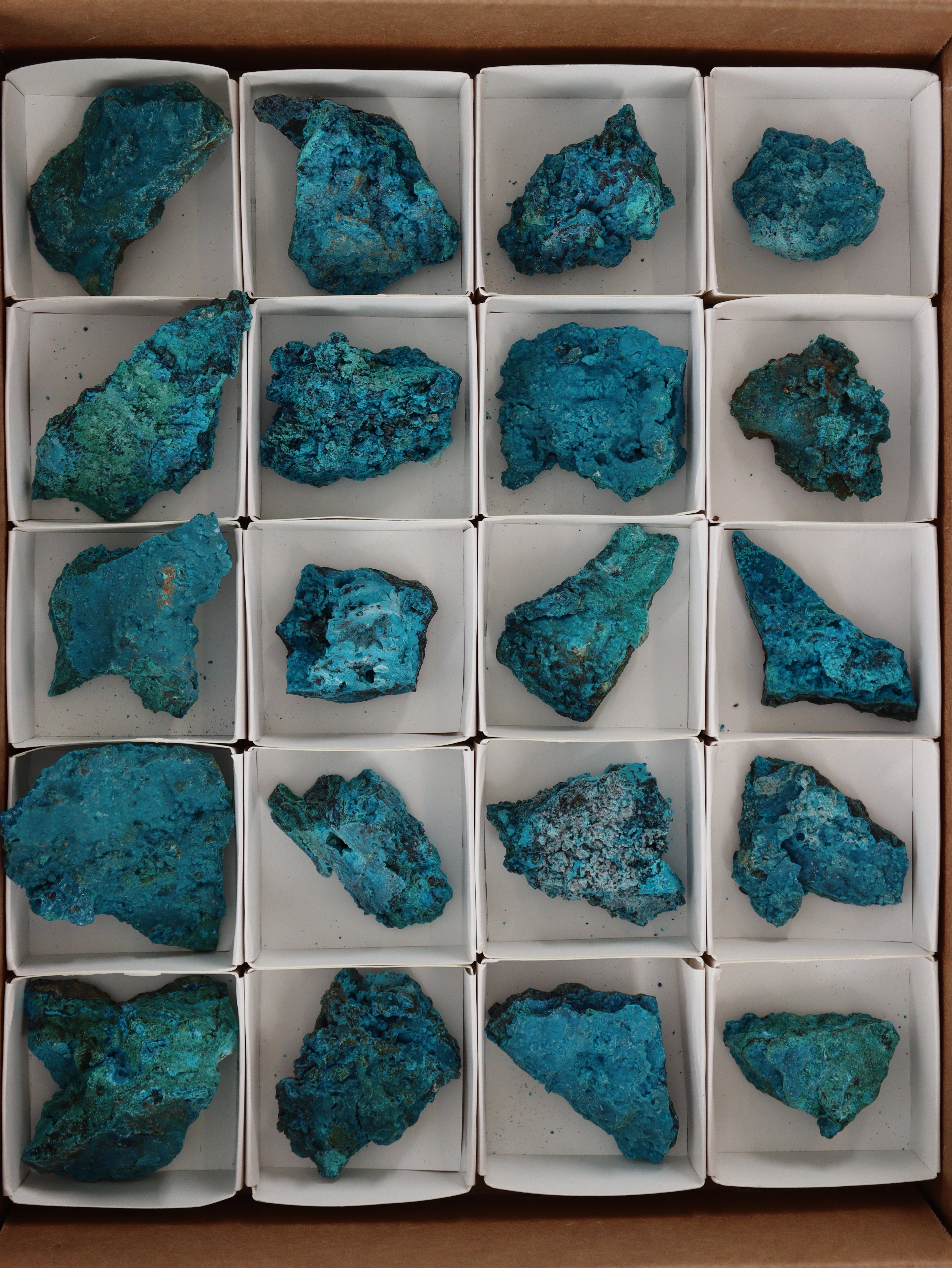 Chrysocolla Flat | Wholesale Crystals Vendor – Mi Esperanza Minerals