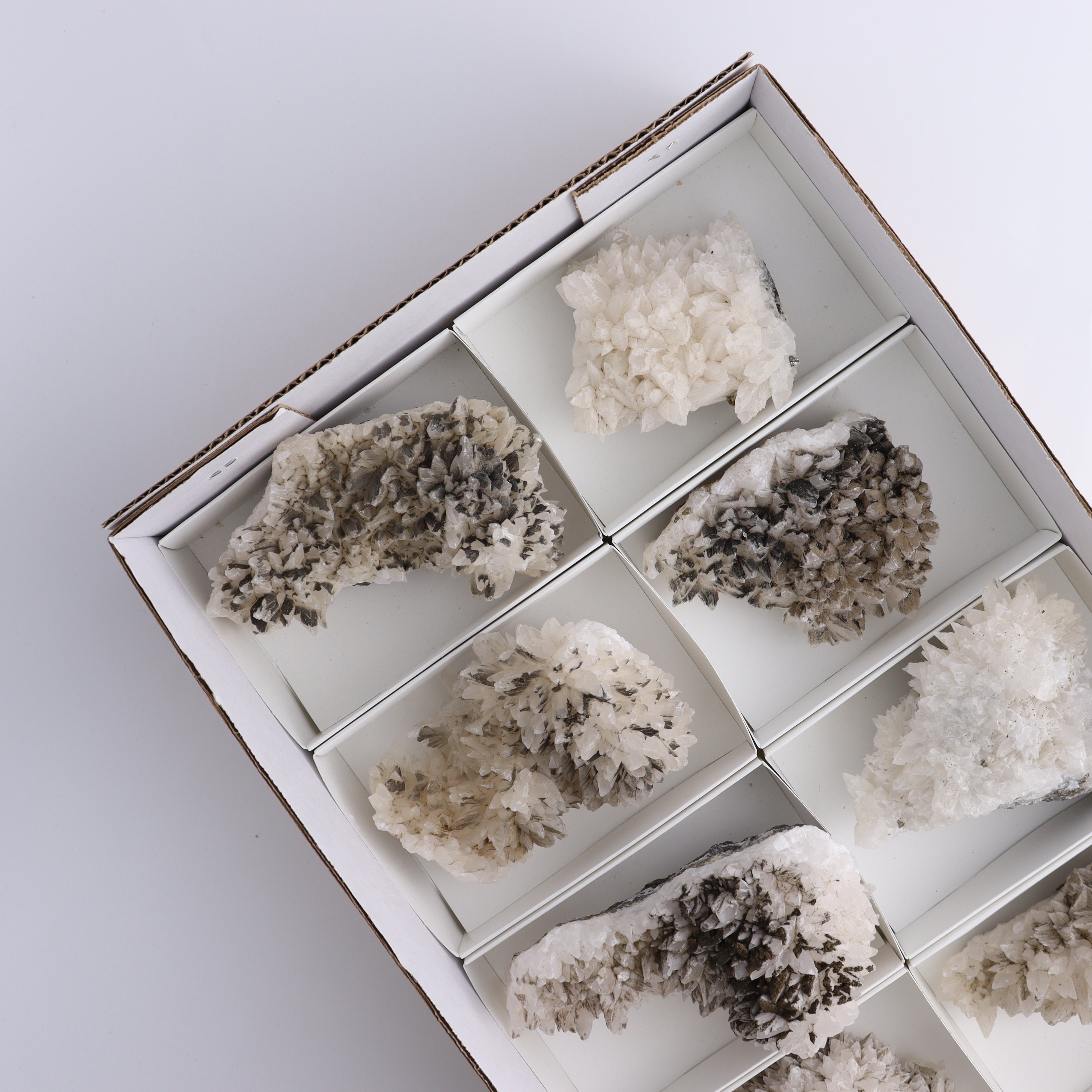 UV Reactive Calcite Flat Set of 8 – Mi Esperanza Minerals