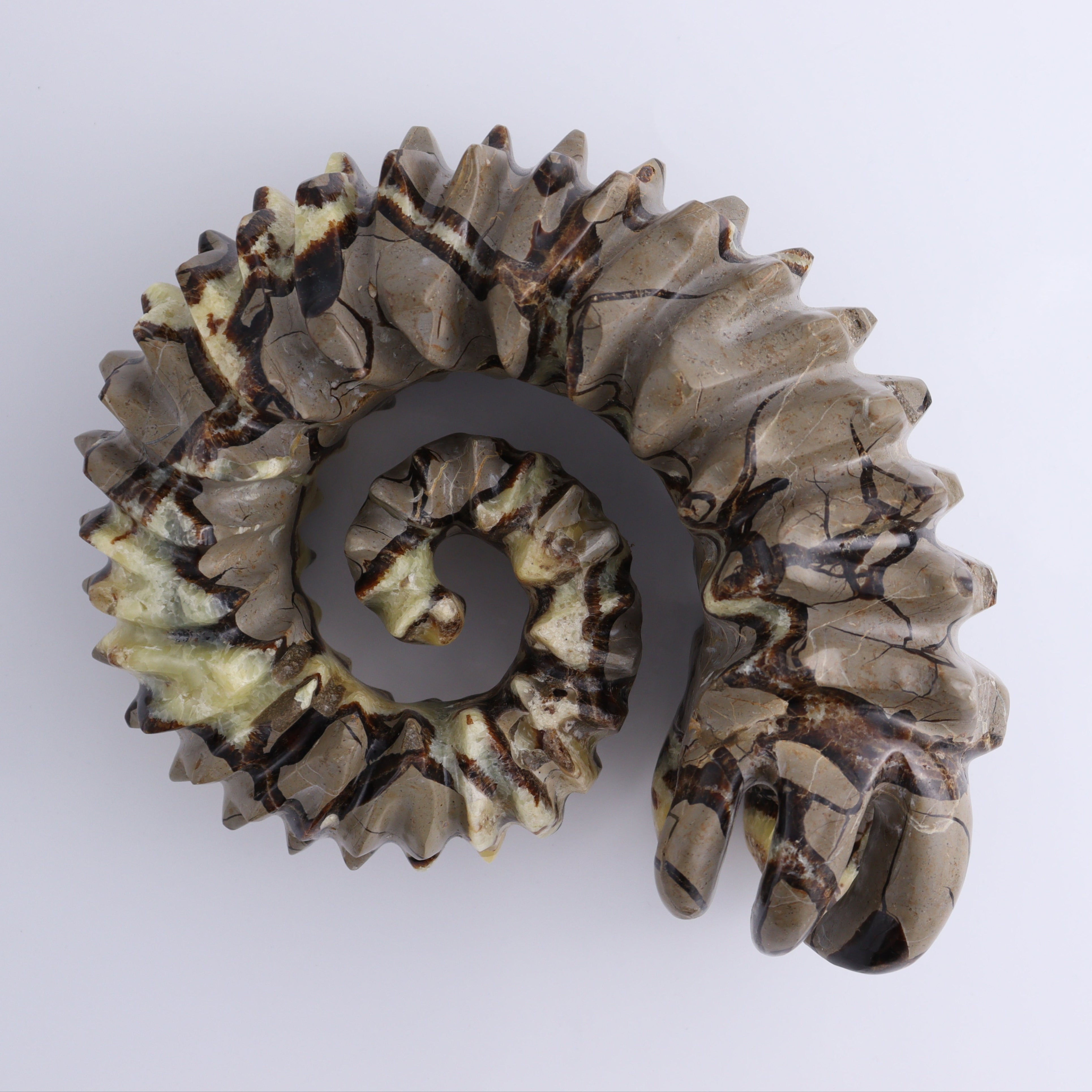 Septarian Mixed Carving – Mi Esperanza Minerals