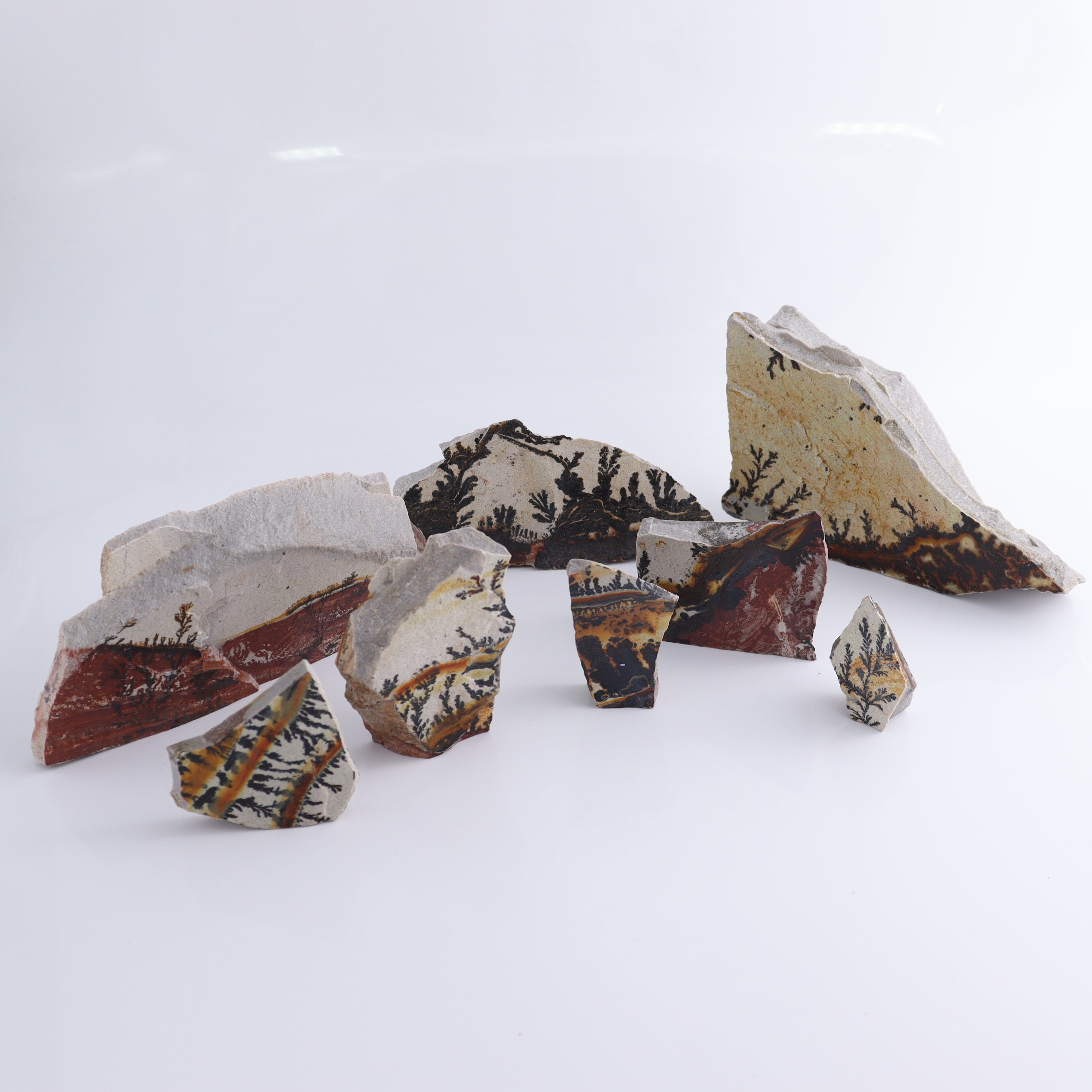 Dendrites Flat Set of 8 – Mi Esperanza Minerals