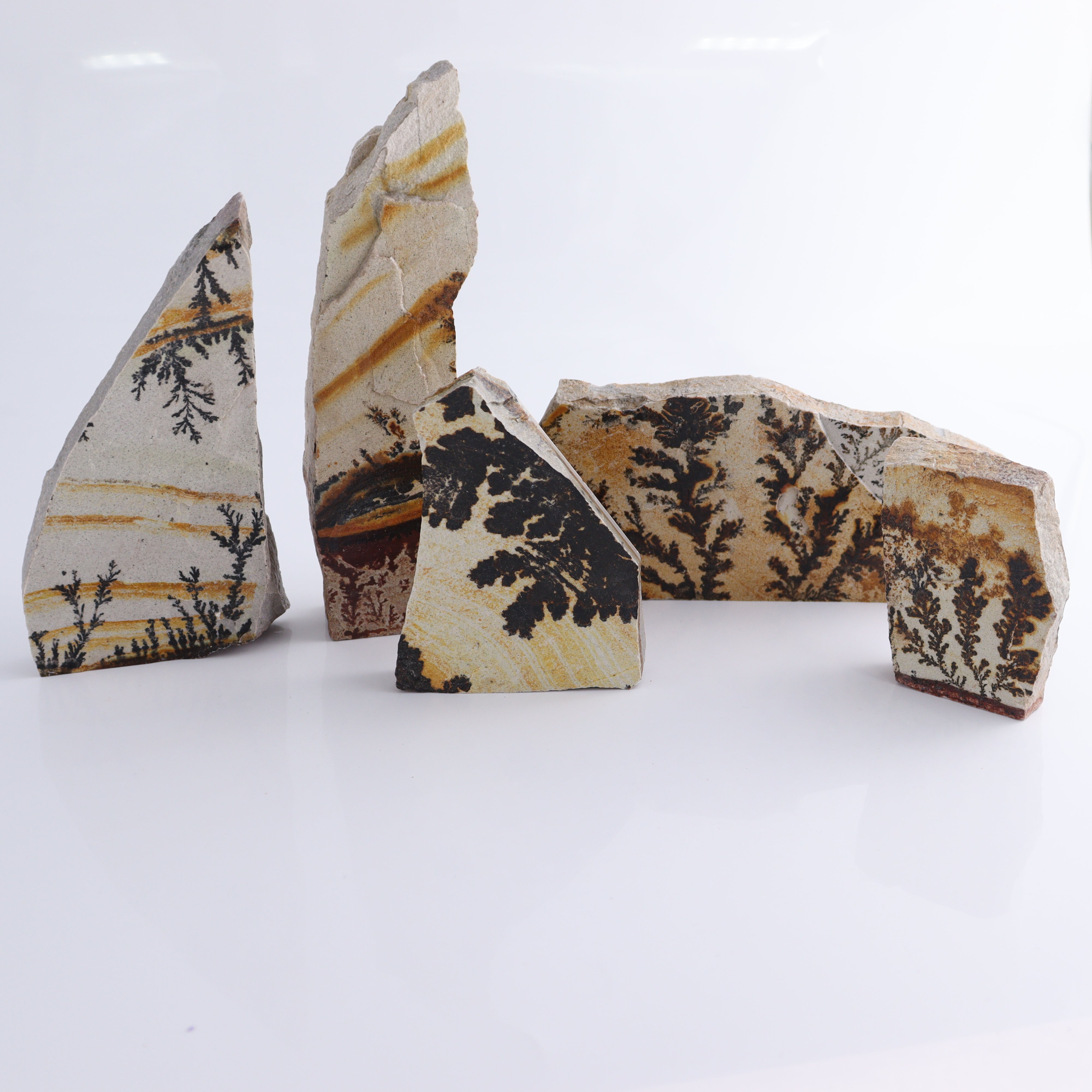 Dendrites Flat Set of 5 – Mi Esperanza Minerals