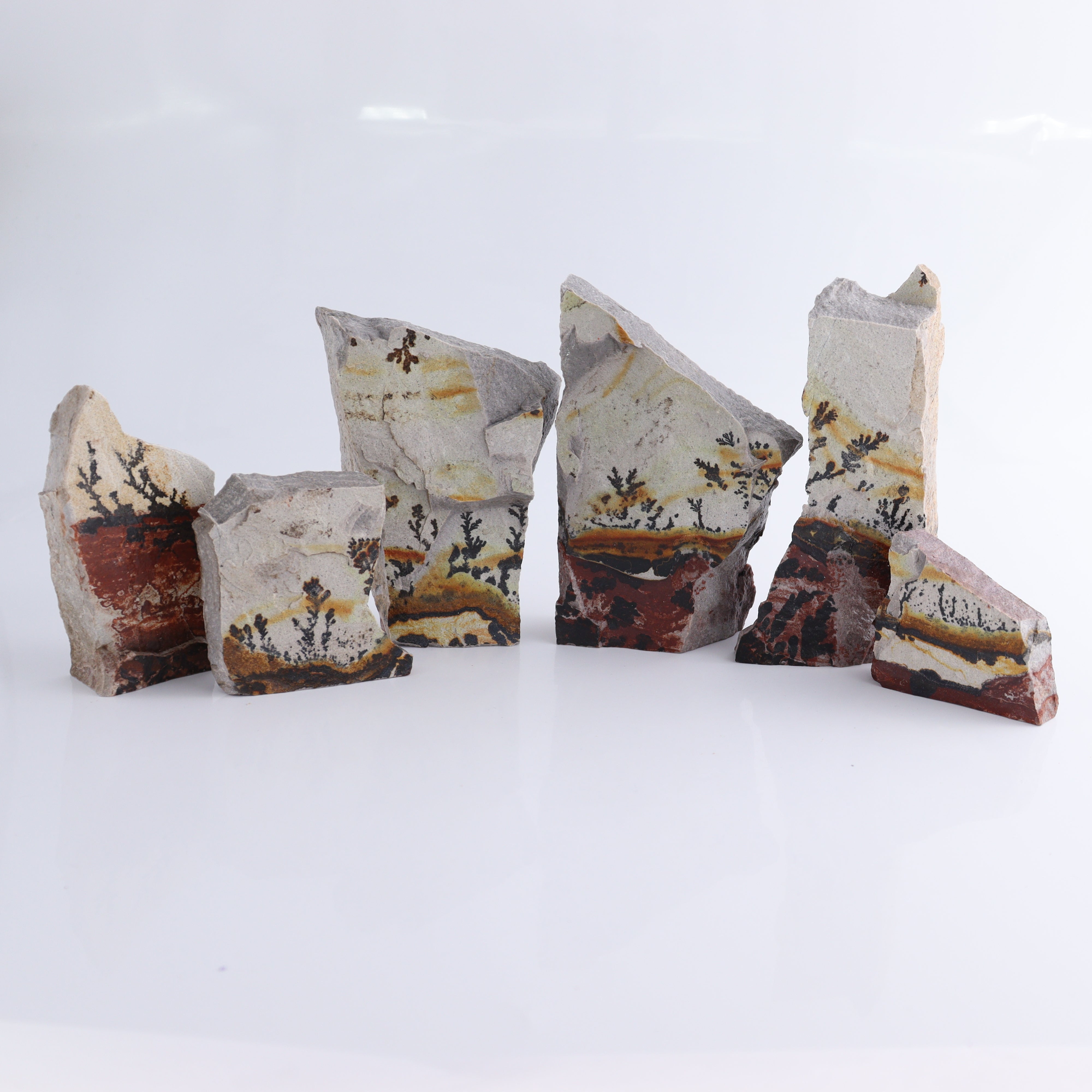 Dendrites Flat Set of 6 – Mi Esperanza Minerals