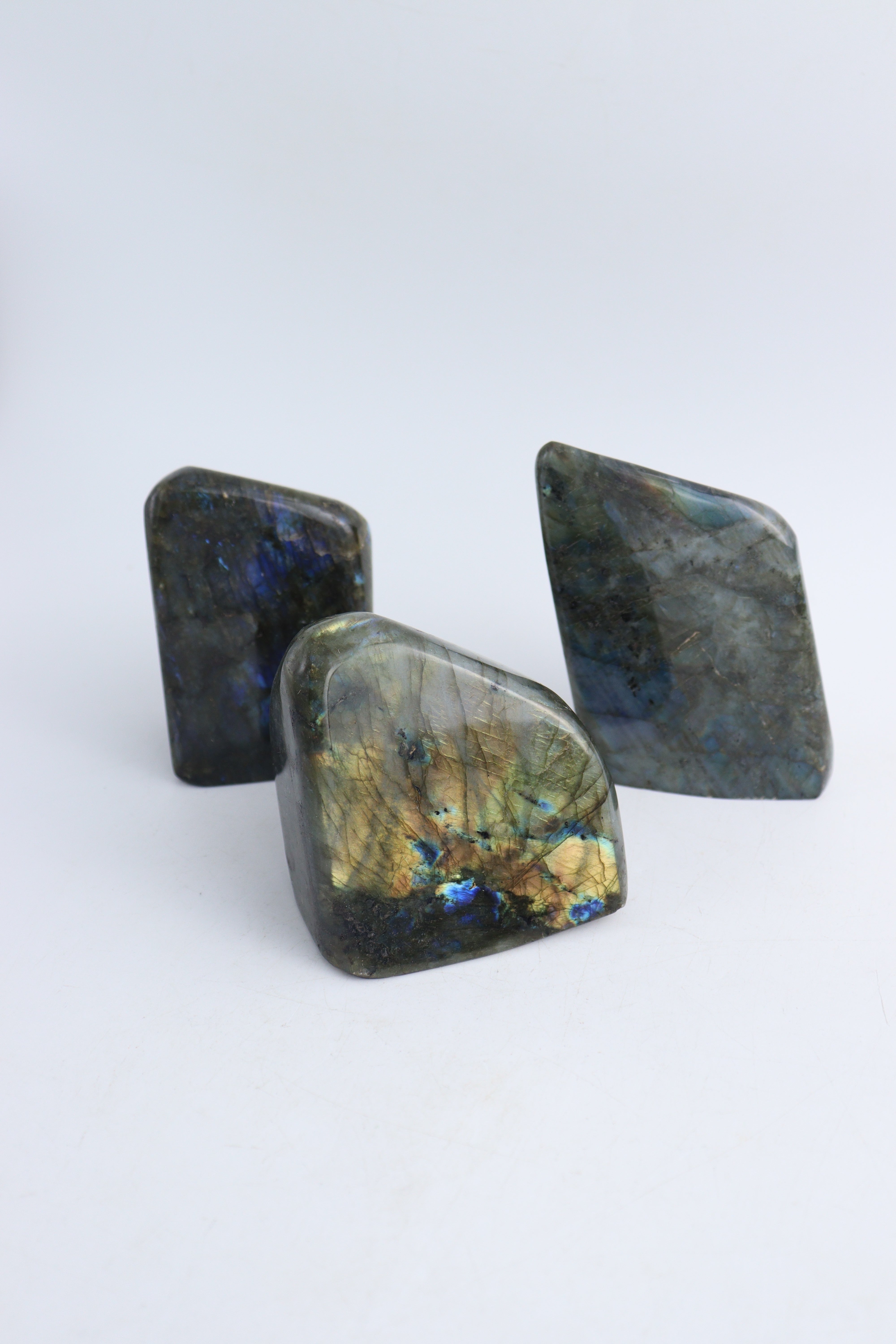 Labradorite Freeforms | Wholesale Crystals Vendor – Mi Esperanza Minerals