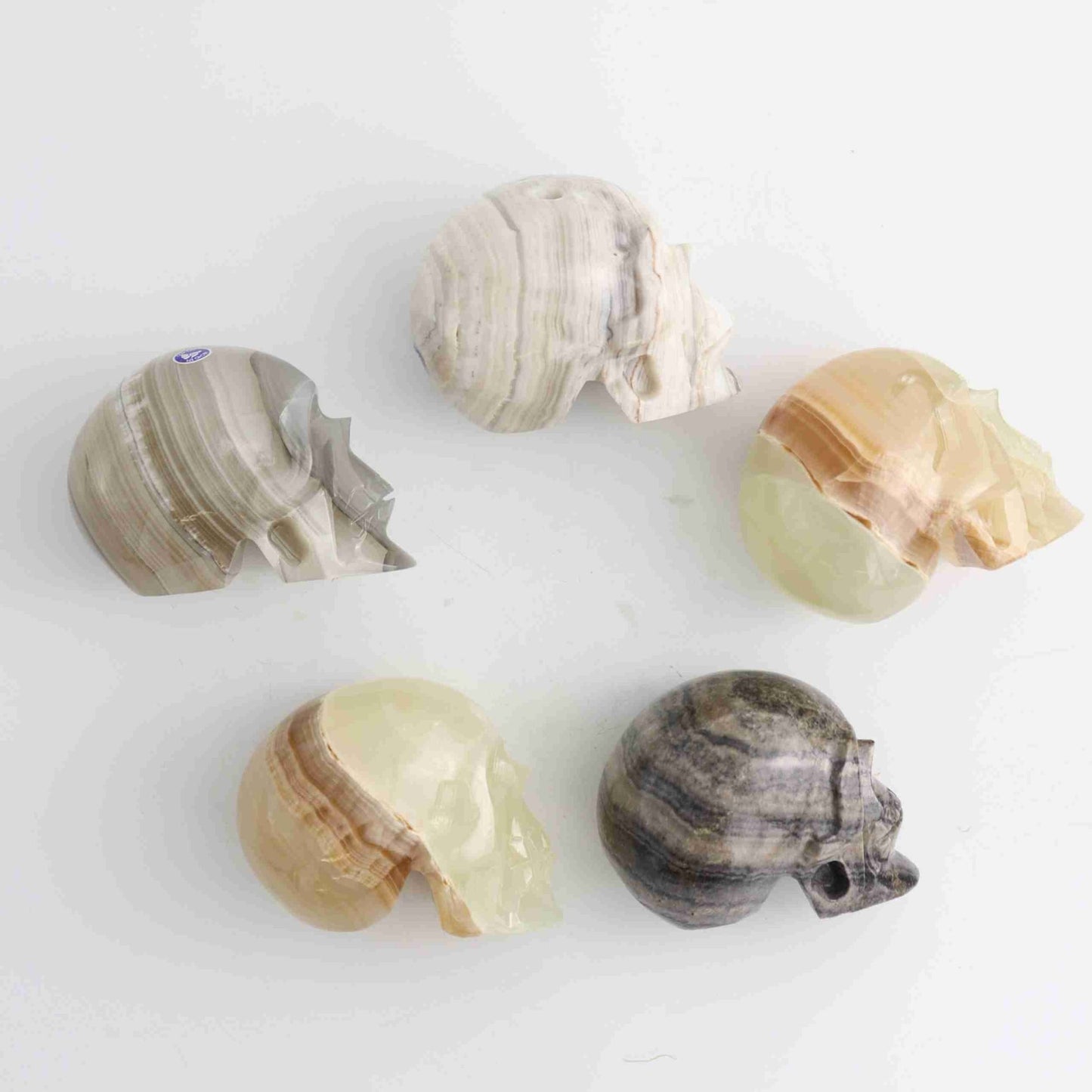 ONE Onyx Large Skull *** brown – Mi Esperanza Minerals