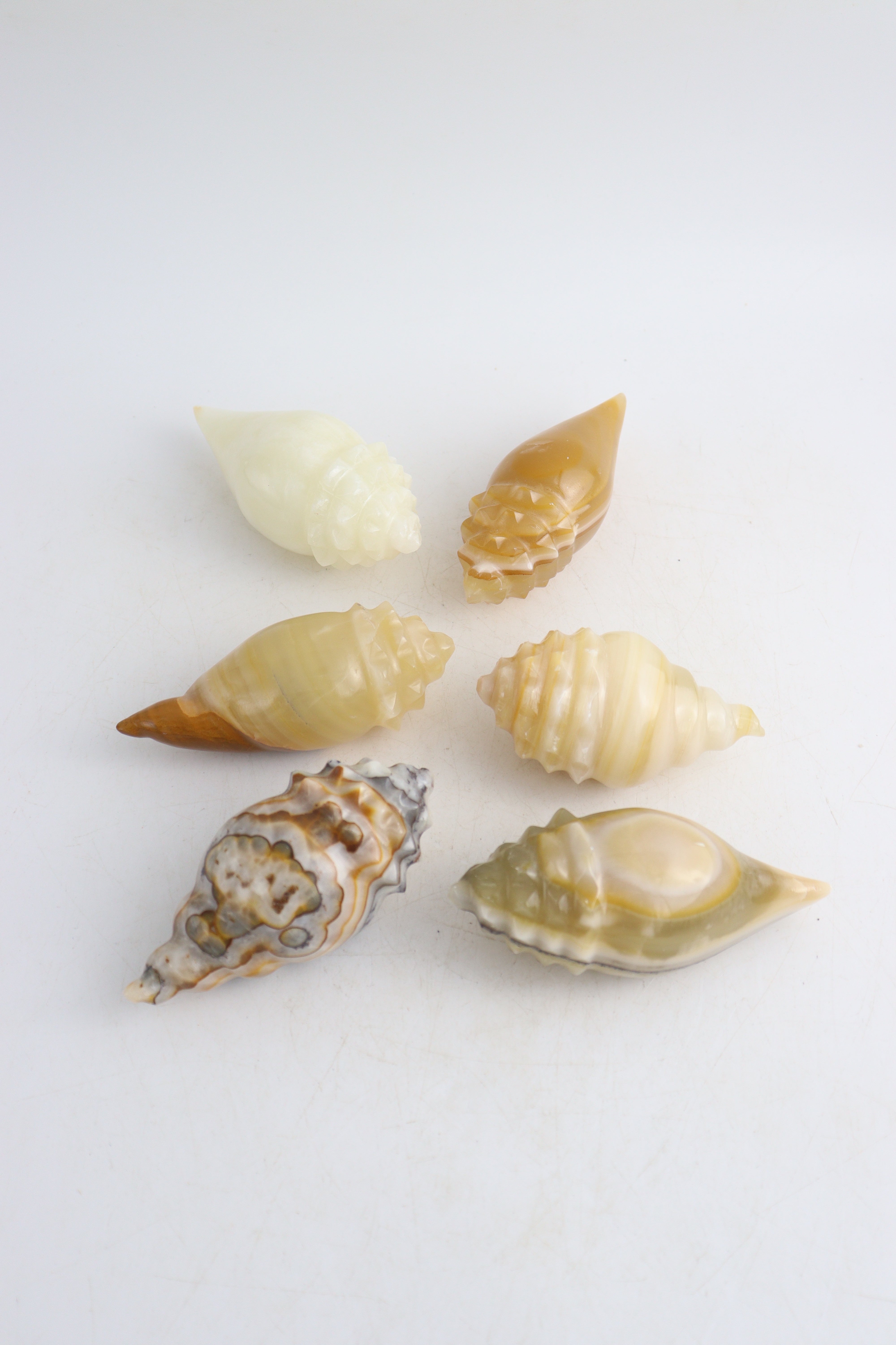 Onyx Shells | Wholesale Crystals Vendor – Mi Esperanza Minerals