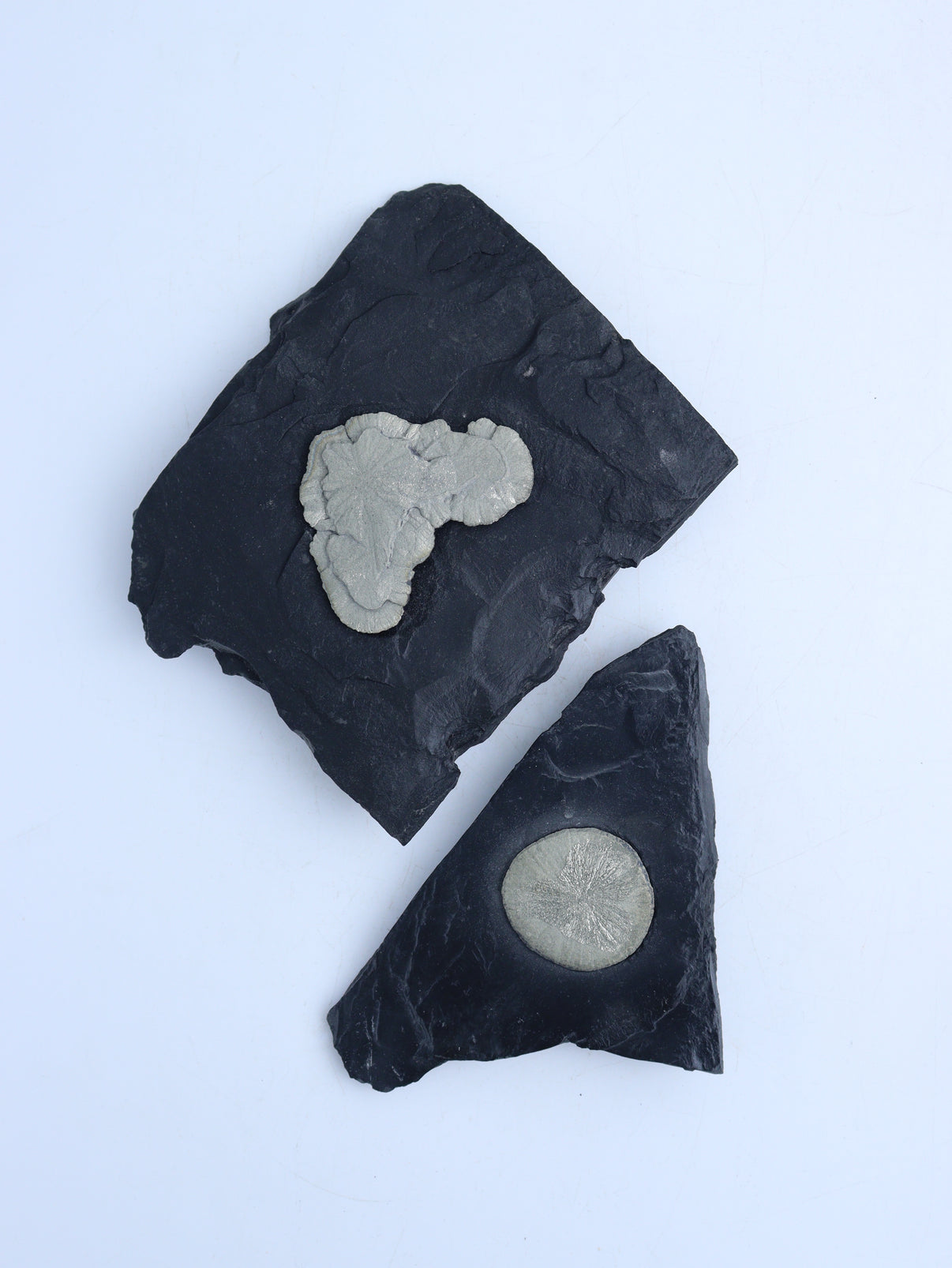 Pyrite Sun Slabs | Wholesale Crystals Vendor – Mi Esperanza Minerals
