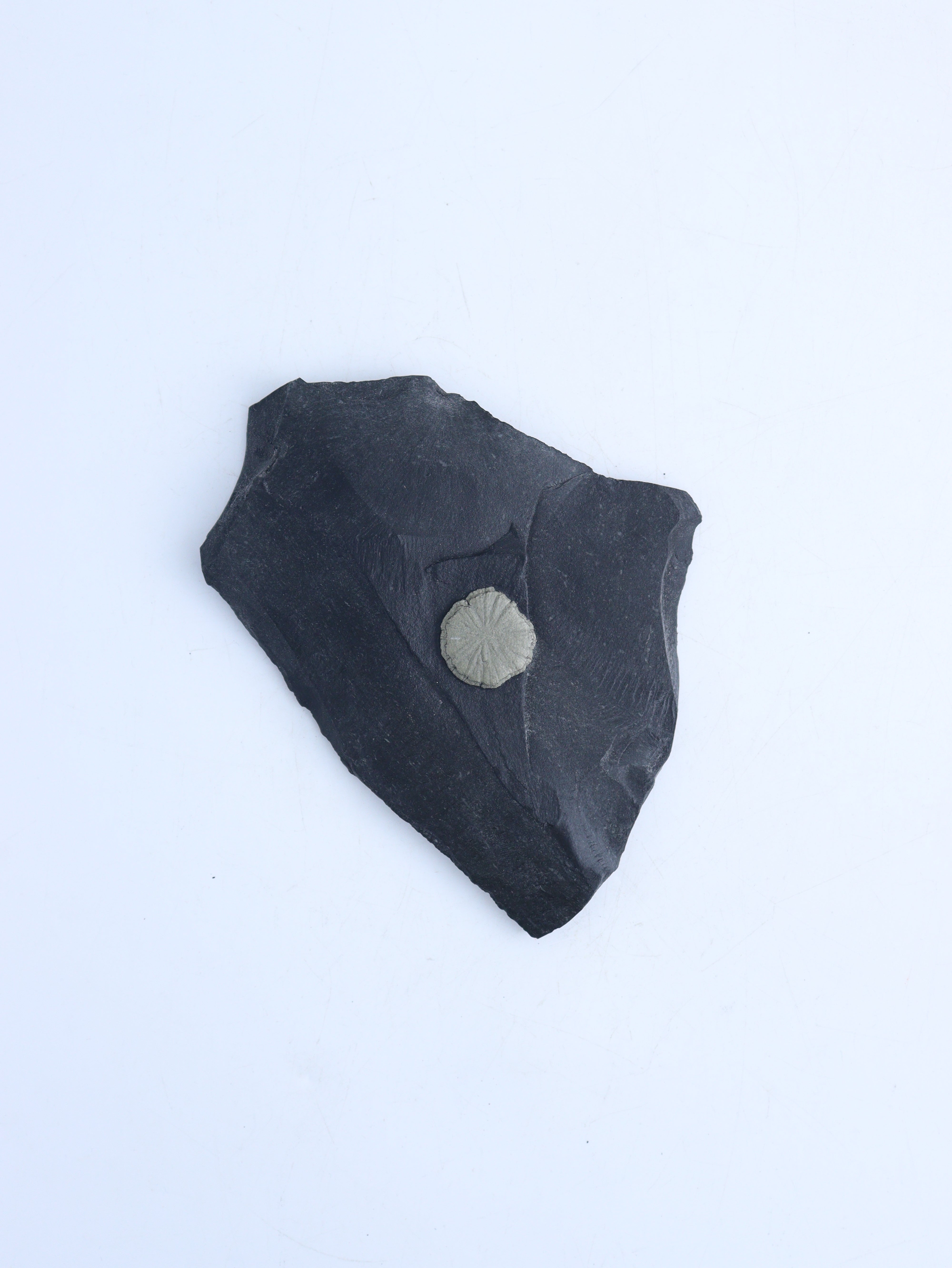 Pyrite Sun Slab | Wholesale Crystals Vendor – Mi Esperanza Minerals