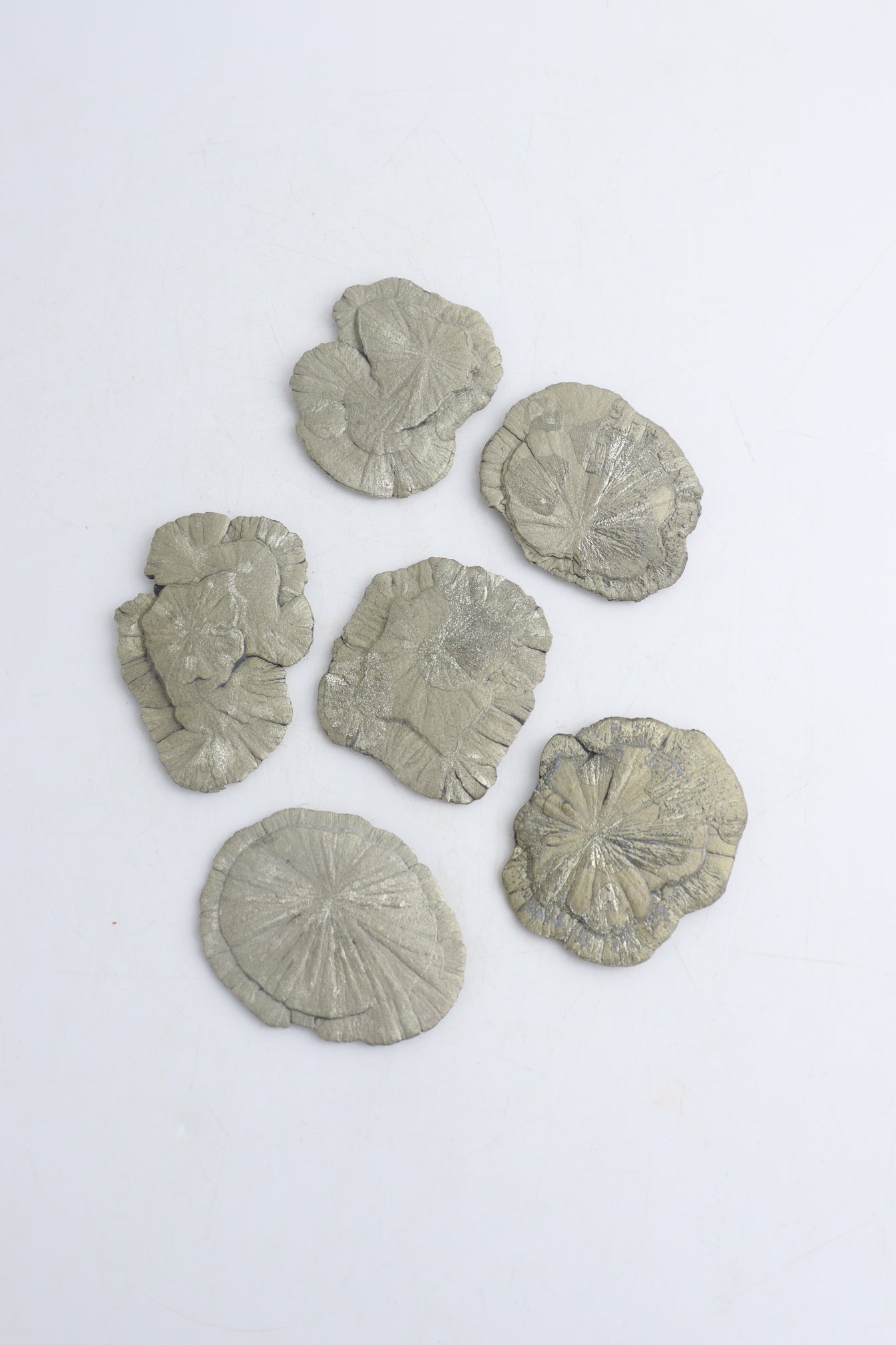 Pyrite Sun Slabs | Wholesale Crystals Vendor – Mi Esperanza Minerals