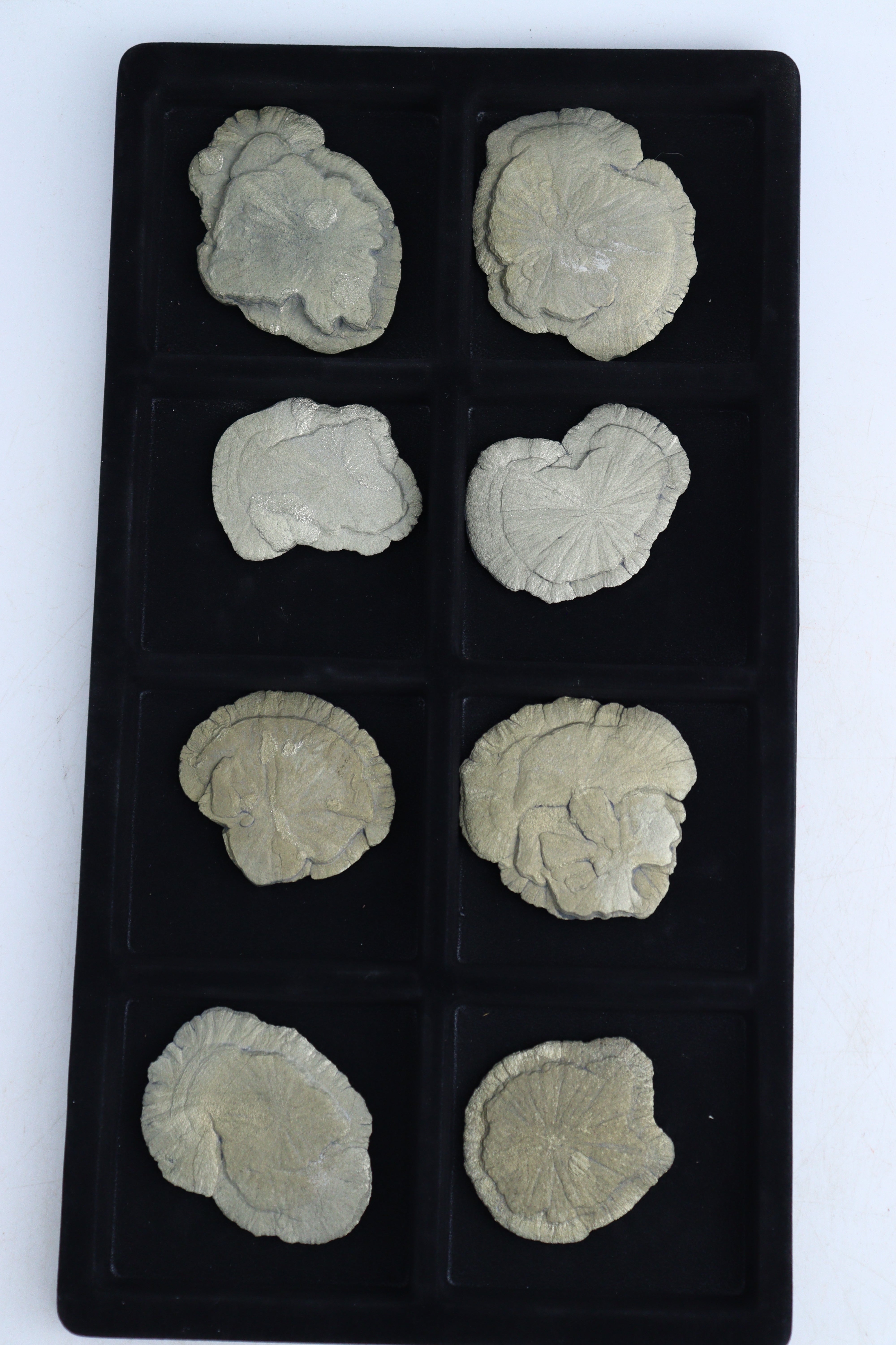 Pyrite Suns | Wholesale Crystals Vendor – Mi Esperanza Minerals