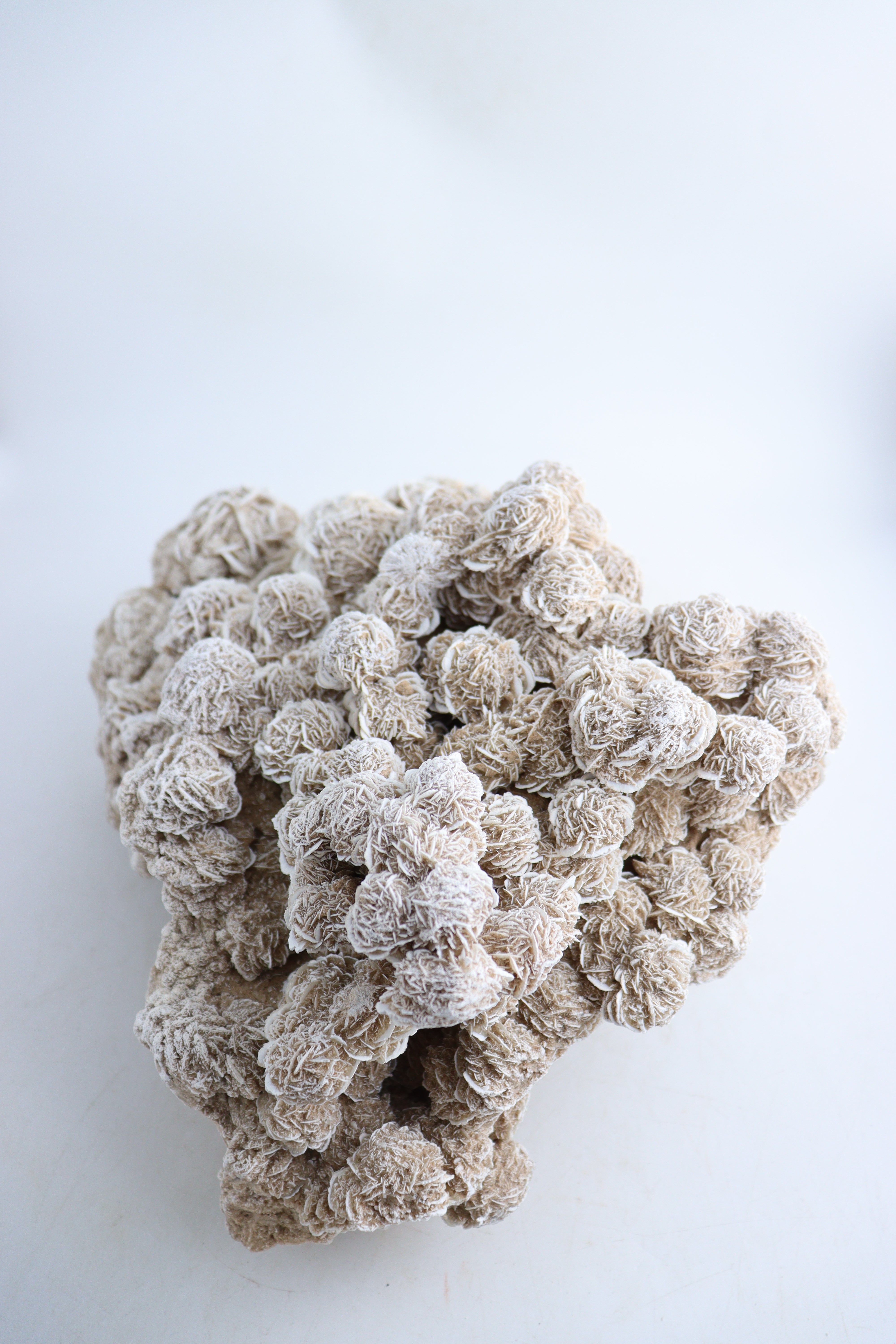 Wholesale Desert Rose – Mi Esperanza Minerals